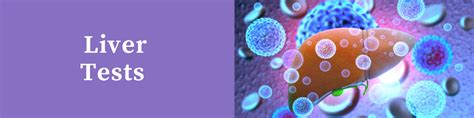 Liver Tests What To Order When To Test How To Interpret Ulta Lab Tests