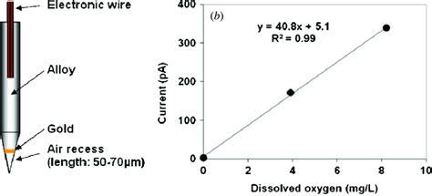 Do Microelectrode A Schematic Diagram B Calibration Curve The