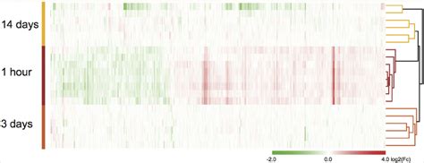 hierarchical clustering analysis of mrna expression after efs