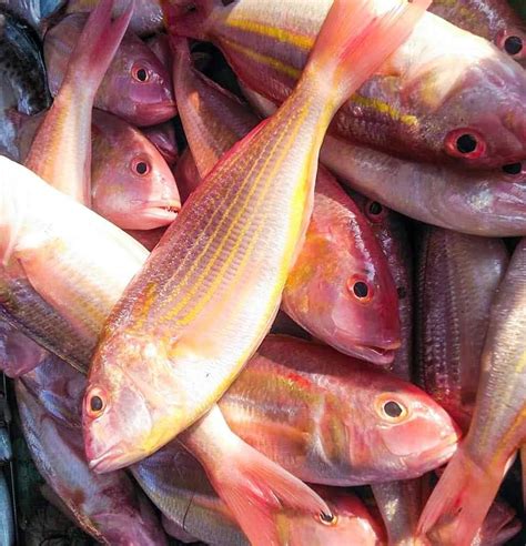 Ibat Ibang Mga Isda Sa Palengke I Love Filipino Food