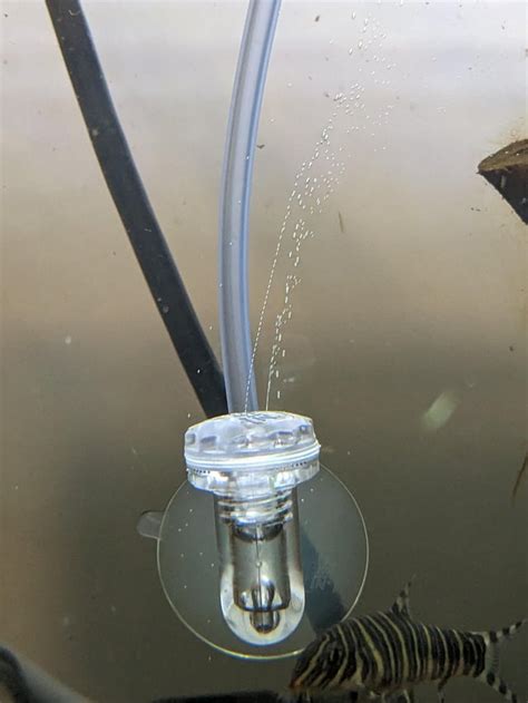 Ziss C02 Generator Diy Setup And Troubleshooting Guide Ziss Zc Ii Generator R Aquarium