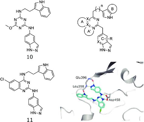 Structure And Binding Pattern Of Representative Compounds Published In Download Scientific