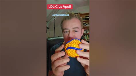 What Is Difference Between Ldl C And Apob Ldl Apob Cholesterol Youtube