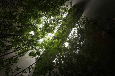 Galeria De Simple Design Archive Has Design And Research 21