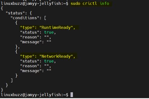 How To Install CRI O Container Runtime On Ubuntu LinuxBuzz