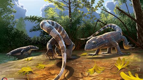 세계 2번째로 울주 암각화 주변서 1억년전 파충류 코리스토데라 발자국 발견