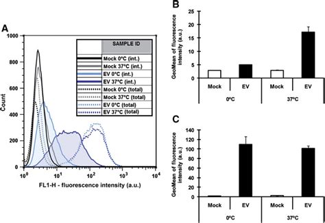Ev Internalization By Flow Cytometry Ihd J F13gfp Evs Moi 175 Were Ev Internalization By Flow Cytometry Ihd J F13gfp Evs Moi 175 Were