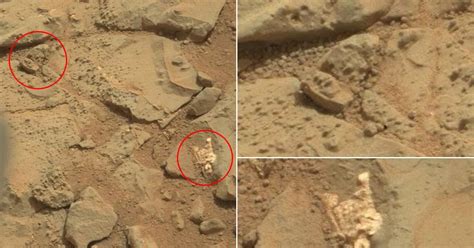 Does This Alien Skeleton Prove There Was Once Life On Mars Mirror
