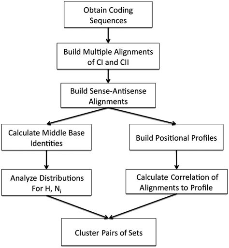 schematic of computational procedures download scientific diagram