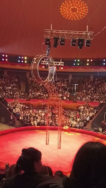 თბილისის ცირკი გასაოცარი შესრულება სტუმრები ყაზახეთიდან Circus цирк თბილისი ცირკი Youtube