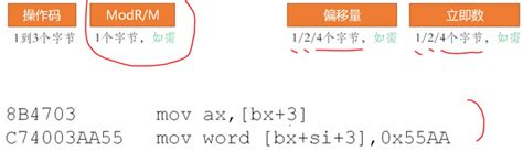 x 汇编语言学习 指令的格式及其操作尺寸 知乎
