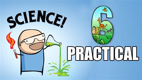 6 විද්‍යාව පෙළපොතේ ඇති ක්‍රියාකාරකම් සියල්ල එක විඩියෝවකින් නරඔන්න Youtube