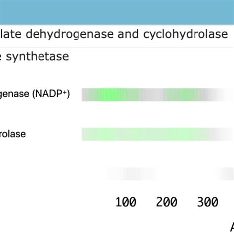 Linking Sequence Regions To Function With Class Activation Mapping For