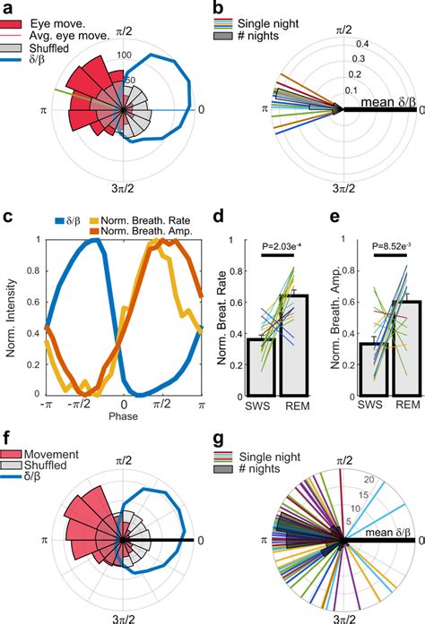 physiological attributes are locked to sleep states a polar histogram