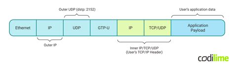 Developing Custom Network Functionality Using Sonic Codilime