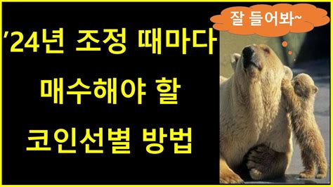 기다리던 조정이 오면 무슨 코인을 사야 될까요 리플 비트코인 이더리움 블랙록 바이낸스 중국 폴리곤 에이다 솔라나 도지 Sec Etf Nft Ftx Ai 체인링크 아발란체