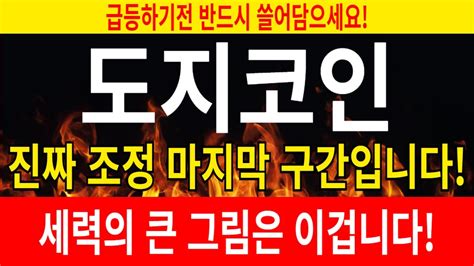 도지코인 코인전망 진짜 조정 마지막 구간입니다 세력의 큰 그림은 이겁니다 Youtube