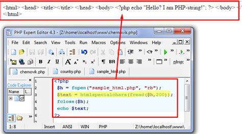 Подсматриваем соседний код как вывести файл php