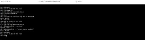 Amazon Linux 2023 に外部リポジトリを利用して、nodejs Python Ruby をインストールしてみた Developersio