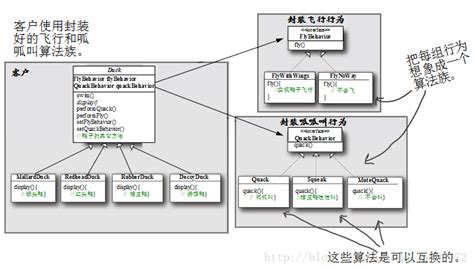 strategy pattern 鸭子行为的封装 red headed duck叫什么 csdn博客