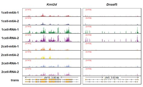 Chapter 5 Basic Visualization Biosequtils Reference