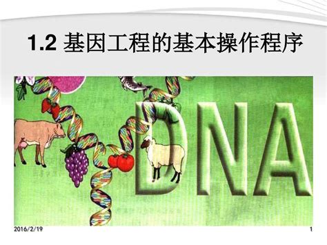 基因工程的基本操作程序非常全面word文档在线阅读与下载无忧文档
