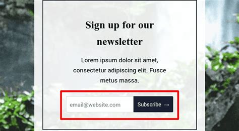 Popup Design Key Principles For More Leads W Examples