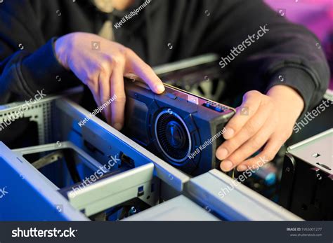 Closeup Gamer Girl Installing New Gpu Stock Photo Shutterstock