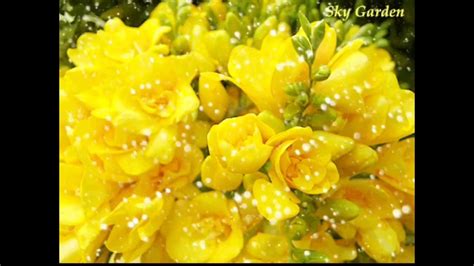 감기가 심하게 와서 저대신 대타로 ~ Cover 둥이빠🎤 Youtube