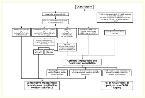 Proposed Algorithm For Managing Patients With Possible Peri Operative Download Scientific