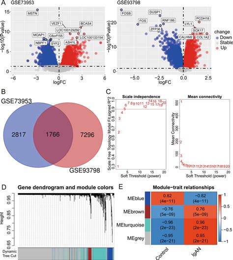 Identification Of Differentially Expressed Genes Degs Using