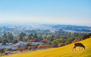 日教弘会員登録 公式奈良教弘公益財団法人 日本教育公務員弘済会奈良支部