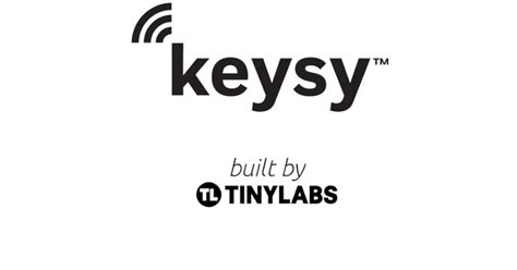 Key Fob Copying Made Easy With Keysy Tiny Labs