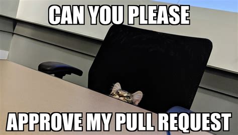 Your Request Has Been Felined R ProgrammerHumor