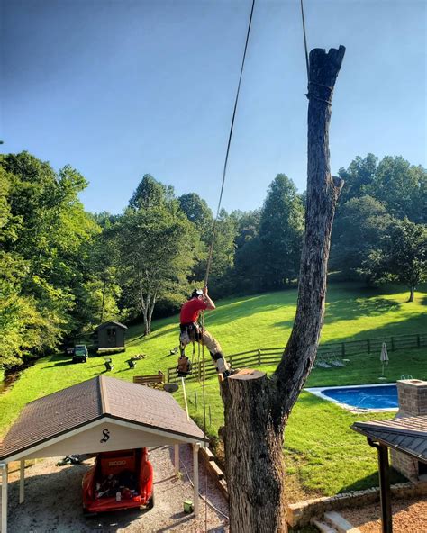 Franklin TN Tree Services Tree Removal TN Tree Preservation