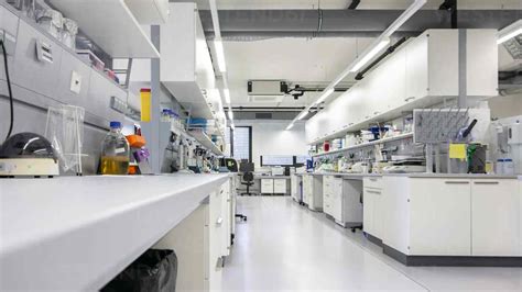 What Size Dehumidifier Do I Need Our Detailed Guide