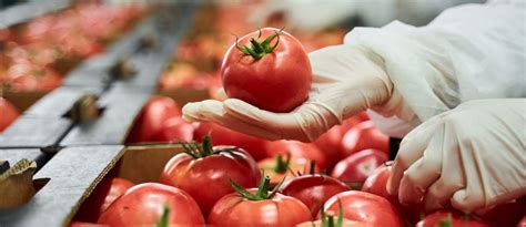 Quality Control Using Acceptance Testing To Guarantee Produ