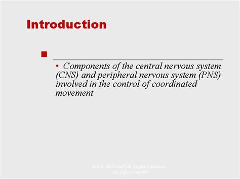 Chapter Neuromotor Basis For Motor Control Concept