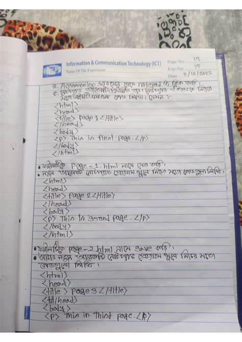 Hsc Ict Practical 2024pdf