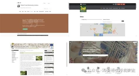 【深度解析】r语言森林生态系统结构、功能与稳定性分析与可视化 知乎