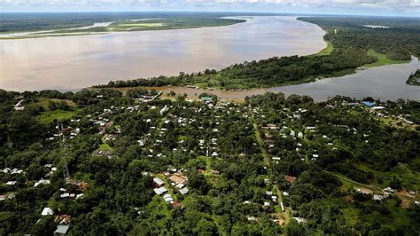A Pesar De La Cuarentena En Argentina Se Deforestaron Más Hectáreas De