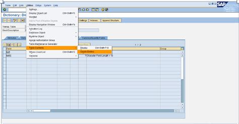 Sap Abap Central Maintaining The One To Many M Cn Cardinality