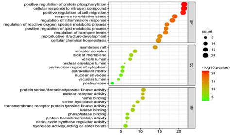 Go Functional Enrichment Analysis Bubble Plot Download Scientific