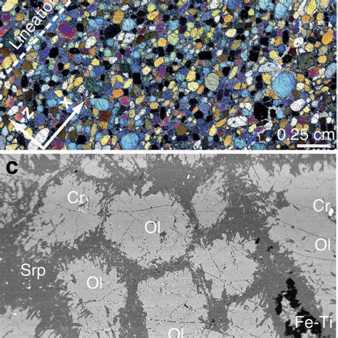 Texture Of Isua Dunite Peridotite A Picture Of Anhydrous Peridotite Download Scientific