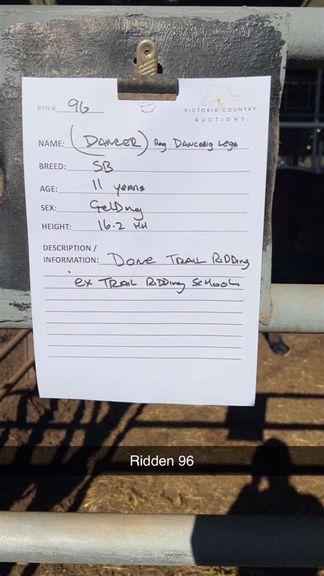 Outnback Equine Transport Outnback Equine Transport