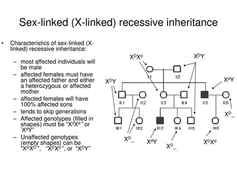 Ppt Autosomal Recessive Inheritance Powerpoint Presentation Free Download Id 6607604
