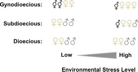 环境压力会影响两性植物性系统中的性别比 Plant Biology X MOL