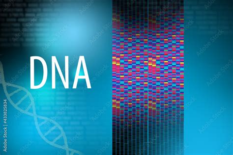 Dna Analysis Visualization Genomes Sequencing And Deoxyribonucleic Acid Dna Sequencing