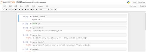Python Using Jupyterhubjupyterhub In Docker Hub Get Error Stack