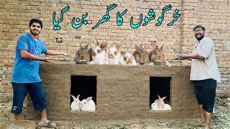 Finally Rabbits Ka Ghar Ban Gaya Alhamdulillah 🐇 Vlog Youtube